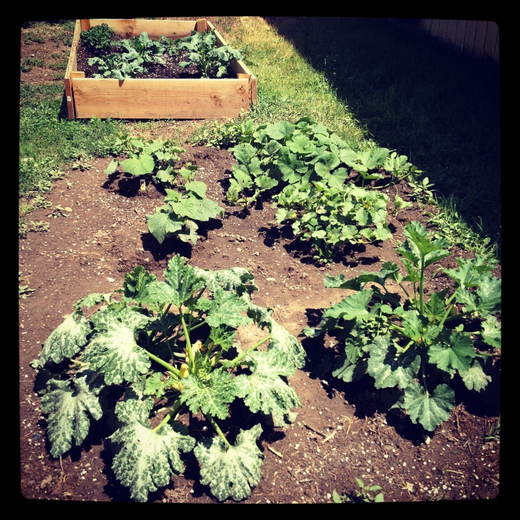 Lower Body Workout and Running - Healthy, Hungry, and Happy